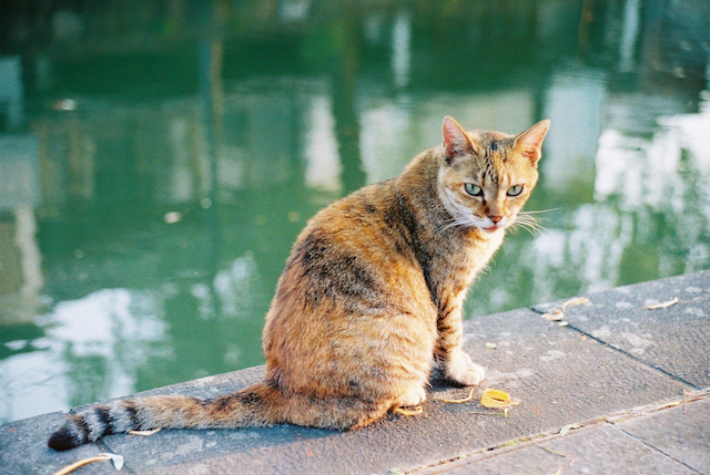 gallery｜NANC写真事務所 | NANC写真事務所